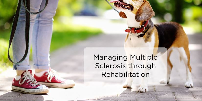 Managing Multiple Sclerosis Through Rehabilitation